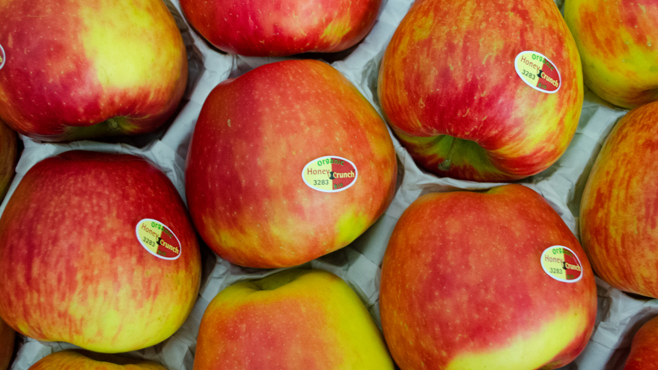 Bio Apfel HoneyCrunch® gelegt Kiste online bestellen/kaufen bei ...