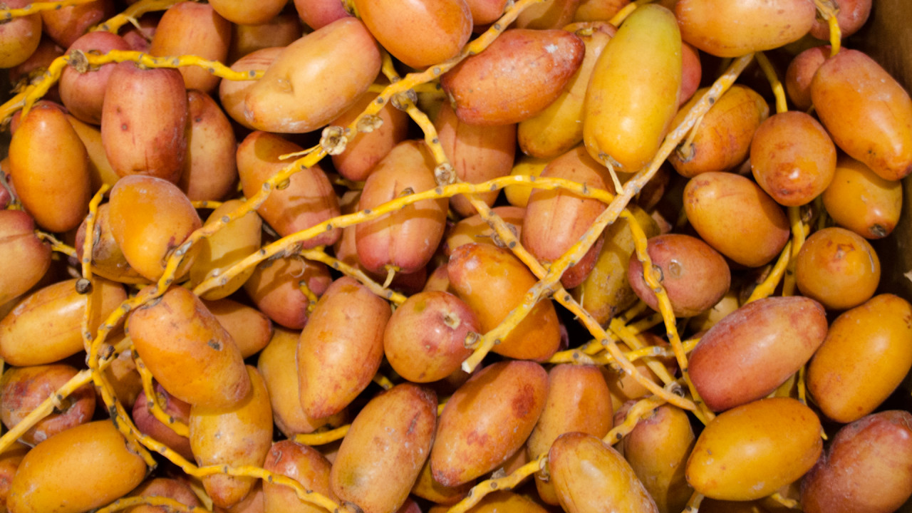 Frische Datteln gelb online kaufen