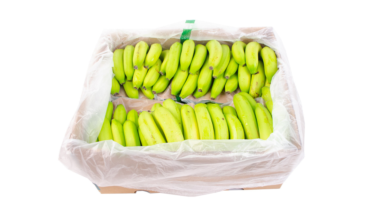 Grüne unreife Bananen online kaufen/bestellen bei Vegansnacks.de.