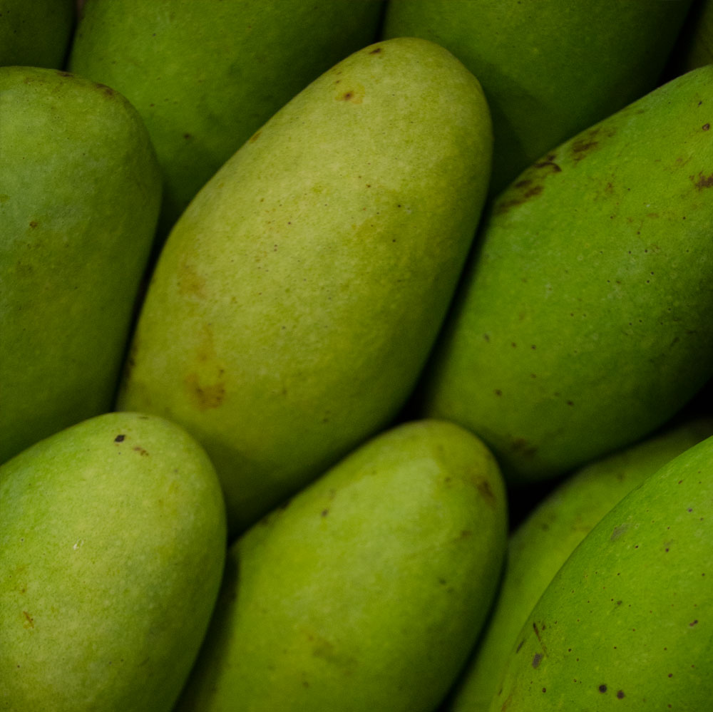 Bio Mango Wild Kiste | SW11825